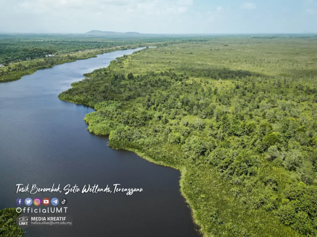 WETLANDS: ENVIRONMENT AND HUMANS ARE RELATED – UMT | Portal Rasmi ...
